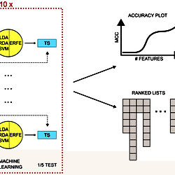 Analysis pipeline for the classifier/feature ranking methods: a 100×5 ...
