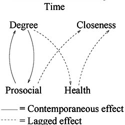 Flow diagram illustrating the primary effects found between network ...