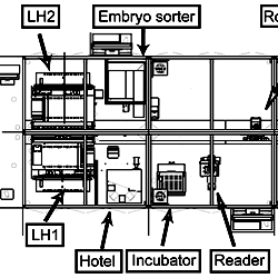 HTS platform layout.