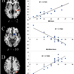Regional Brain Activations during the Perception of Infant Cries and ...