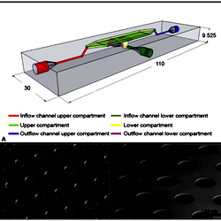 Schematic representation of the flow device.