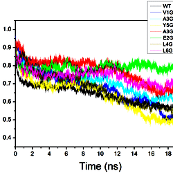 The fraction of native contact between β-strands for wild type and ...