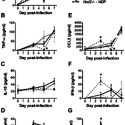MDP treatment causes NOD2-dependent modulation of pulmonary cytokines.