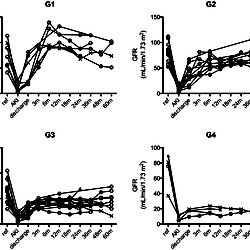 Comparison between reference and best GFR up to 18 months in all groups.