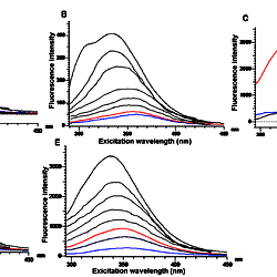 Effect of PE on fluorescence spectra in different protein solutions.