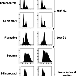 Representative DNA content histograms.