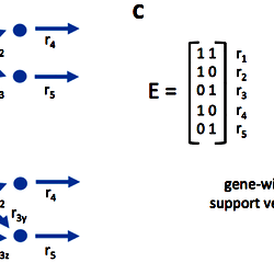 EFM analysis overview.