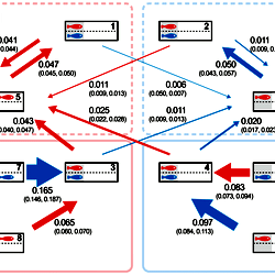 Transition intensities from the Markov Chain model.