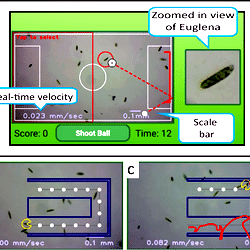 PLAY: The interactive microscope platform enables biotic game play with ...