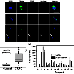 CTC enumeration using the GEDI and comparison to capture by Cell Search.