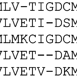 Example of MSA for a given reference structure’s pocket.