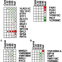 Gene expression heat maps for select genes illustrating unique traits ...