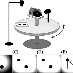 Schema for analyzing three-dimensional rotation vectors of eye ...