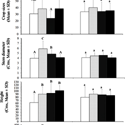 Bar graphs show the mean values and the standard deviations for each of ...