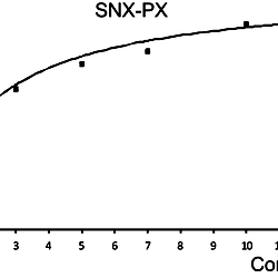Fitting of SPR data using Biacore evaluation software.