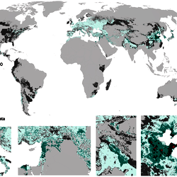 Global map of pollination benefits for apples.