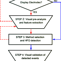 RIPPLELAB flowchart for data analysis.