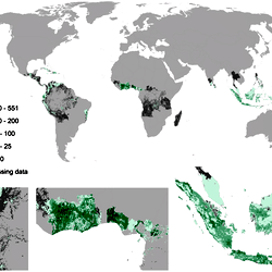 Global map of pollination benefits for cacao.