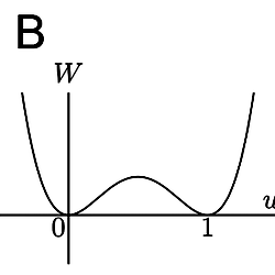 Shape of the double-well potential W(u).