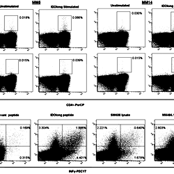 Intracellular cytokine staining.