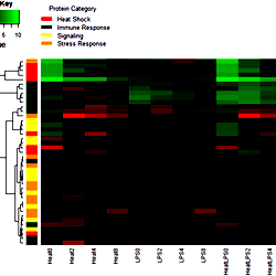 Log2 Fold Change Heat Map.