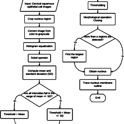 Flowchart for the processing of cervical squamous epithelial cell images.