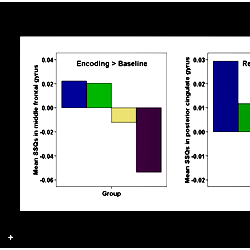 Between-group differences in regional brain activation during a verbal ...