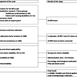 Flow chart of the development process of the BPS scale.