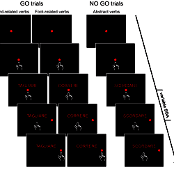 Schematic representation of experiments 1, 2, 3a and 3b.