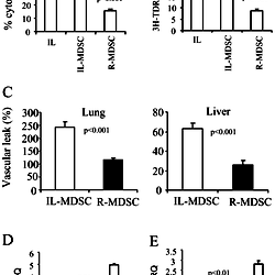 Analysis of the functional characteristics of MDSC.