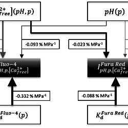 Flowchart of the pressure dependent system variables and their ...