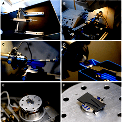 A custom-built positioning device to mount ribbons of serial sections ...