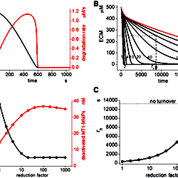 Simulation results of ECM degradation.