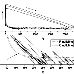 A phase-space diagram for the genetic circuit model.