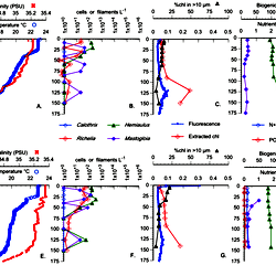 Vertical profiles of Sta. 1 and 2 (outside the bloom area) in 2008.