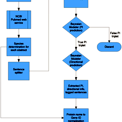 Architecture of CPNM system.