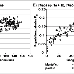 Isolation by distance (IBD).