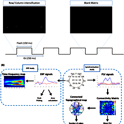 Paradigm design and the steps of analysis.