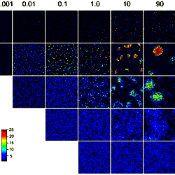 Spatial maps of polymer density.
