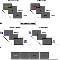 The Visual and Auditory Stroop Paradigms.