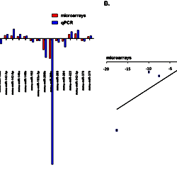 Correlation between microarrays and qPCR.