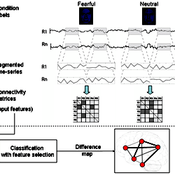 Data analysis scheme.