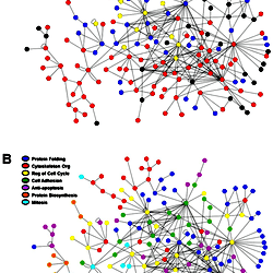 Example network inferred from the integrated datasets.