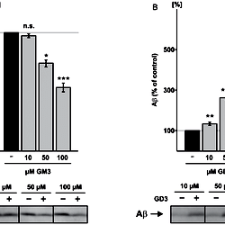 Effect of GM3 and GD3 on APP processing.