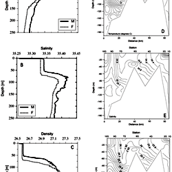 Temperature, salinity and density depth profiles and contour plots.