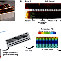 The microfluidic assay flow.