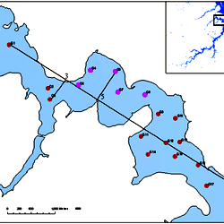 Map of Richibucto Estuary.