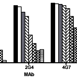 PRNT50 assay for MAbs.