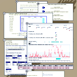 Overview of the RAVEN Web Interface