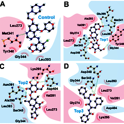 Ligplot diagrams illustrating protein-ligand interactions during docking.